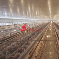 China Heavy Duty Layer Chicken Cage System 6-12 Tiers Hot Dip Galvanized for Modern Farms for sale