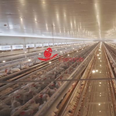 China Heavy Duty Layer Chicken Cage System 6-12 Tiers Hot Dip Galvanized for Modern Farms for sale