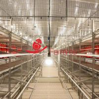 China Cage Free Poultry System 15000 Birds Capacity for Welfare Farm Egg Production for sale