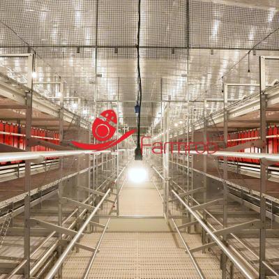 China Cage Free Poultry System 15000 Birds Capacity for Welfare Farm Egg Production for sale