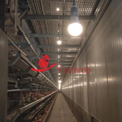 China 8-12 Tiers Layer Chicken Cage System Automatic Feeding Manure Removal 0.02% Egg Breakage for sale