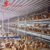 China 3 Tiers Poultry Battery Cage System Cage Free Eggs Cage-Free-X Improve Health And Welfare for sale