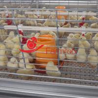 China Dependable 8-Tier Poultry Cage System for Baby Chicken Stress-free Space for sale