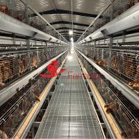 China Enhanced performance poultry cage system for baby chicks for sale