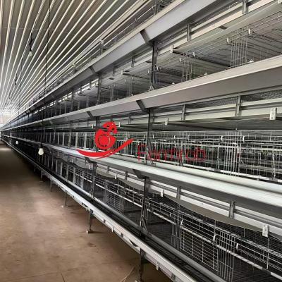 China Enhanced Biosecurity Poultry Battery Cage System for Baby Chickens for sale