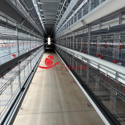 China 40000 chicks Poultry Battery Cage System with Integrated Ventilation System for sale