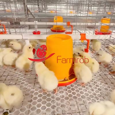 China Comfortable Living Environment for Baby Chicks with Poultry Battery Cage System in Middle East Farms for sale