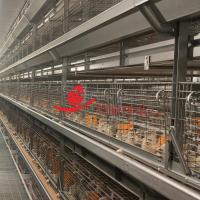 China 100000 Pullets Poultry Battery Cage System with Durable Materials for sale