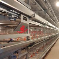 China Optimal Growth of Pullets Poultry Battery Cage System for Pakistan Farms for sale