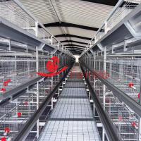 China Easy Management Poultry Battery Cage System for Algeria Farms for sale
