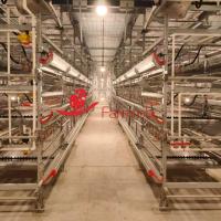 China Non-Deformable Components Pullet Poultry Battery Cage System for Russian Farms for sale