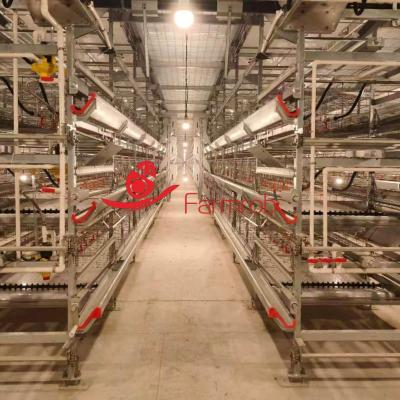 China Non-Deformable Components Pullet Poultry Battery Cage System for Russian Farms for sale