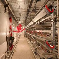 China Minimized Mortality Poultry Battery Cage System for Baby Chicks for sale