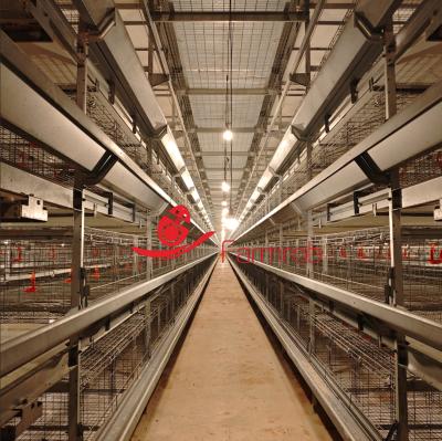China 3-8 Tiers Poultry Battery Cage System Customizable Pullet Rearing Equipment with Safety Comfort for sale