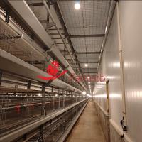 China Ample Space and Hygienic Conditions Poultry Battery Cage System to Promote Pullet Health and Growth for sale