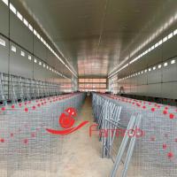 China 1800×600×430mm H Type Poultry Battery Cage System Low Egg Breakage Rate For Layer Farming for sale