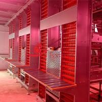 China Industrial-Grade 6-Tier Layer Chicken Cage System Durability for sale