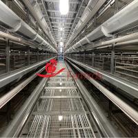 China 434 cm2 Area Q235 Steel Layer Chicken Cage System with 700mm Story Height for sale