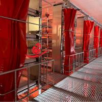 China 434 cm2 Area Q235 Steel Layer Chicken Cage System with 700mm Story Height for sale