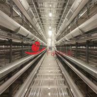 China Labor-Saving High Yield  Layer Chicken Cage System 0 Cracked Egg for sale