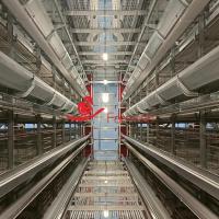 China 700mm Story Height Layer Chicken Cage System with Reasonable Wind Speed for sale