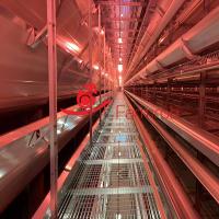 China Precision Environmental Management Layer Chicken Cage System Smart Coop for sale