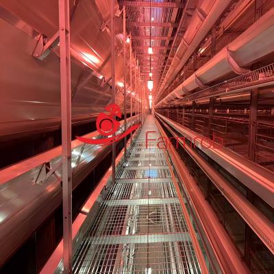China Precision Environmental Management Layer Chicken Cage System Smart Coop for sale