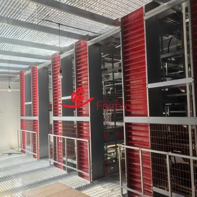China 80000 Layer Chicken Cage System Good Load-bearing Capacity for sale