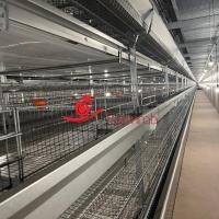 China 60000 Layer Chicken Cage System Healthier Environment for sale