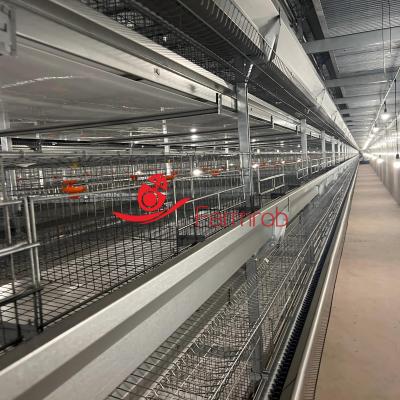 China 60000 Layer Chicken Cage System Healthier Environment for sale