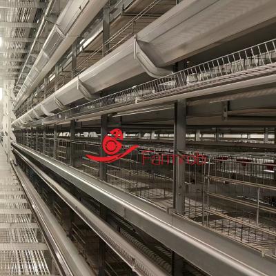 China CE H type Layer Chicken Cage System for Morocco Farm for sale