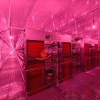 China Optimized Layer Chicken Cage System for Chicken Uniformity for sale