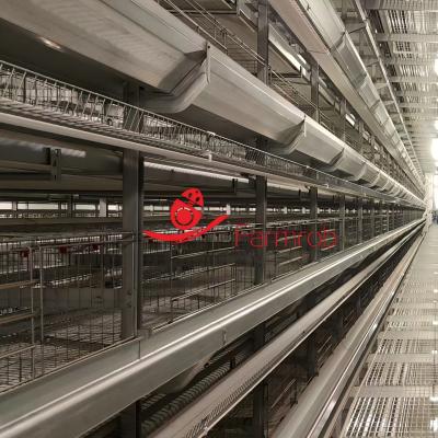 China Commercial Generation Layer Chicken Cage System Automatic Design for sale