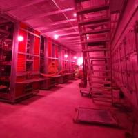 China Sufficient and Even Feed Distribution Layer Chicken Cage System For Good Growth for sale