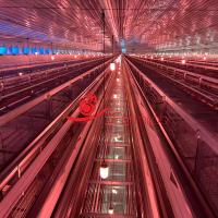 China High-Capacity Layer Chicken Cage System for Poultry Farming Operations for sale