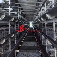 China 100000 Layer H Type Layer Chicken Cage System with Reliable Operation in Saudi Arabia for sale
