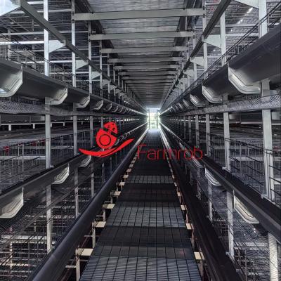 China 100000 Layer H Type Layer Chicken Cage System with Reliable Operation in Saudi Arabia for sale