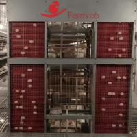 China Standardized Rearing Layer Chicken Cage System for Optimal Middle East Farm for sale