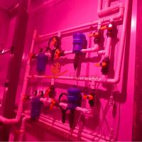 China Reliable Drinking System for Intelligent Layer Chicken Cage System in the United Arab Emirates for sale