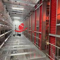 China Timely Management Layer Chicken Cage System in Pakistan for sale
