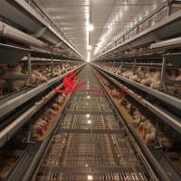 China Long-Lasting Layer Chicken Cage System Enhanced Operation Efficiency for sale