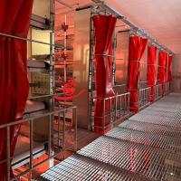 China Thorough Manure Removal Layer Chicken Cage System for the Middle East Farms for sale