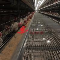China Excellent Ventilation and Cooling Layer Chicken Cage System for Morocco Farms for sale