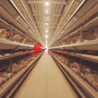 China Standardized Closed Layer Chicken Cage System for Russia Farms for sale