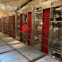 China Widely Recognized Layer Chicken Cage System for Large-Scale Layer Farms and Superior Performance for sale