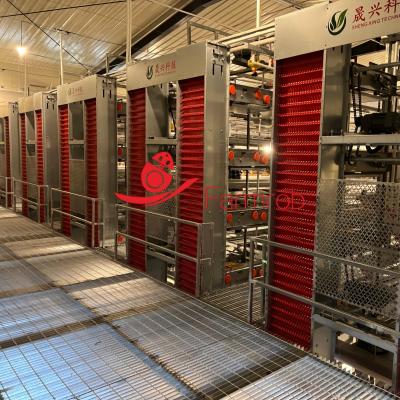 China Widely Recognized Layer Chicken Cage System for Large-Scale Layer Farms and Superior Performance for sale