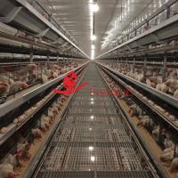 China Long Lasting Stability Layer Chicken Cage System for Russian Farms for sale
