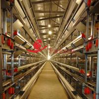 China Standardized Enclosed Layer Chicken Cage System Enhanced Biosecurity and Operational Efficiency for sale