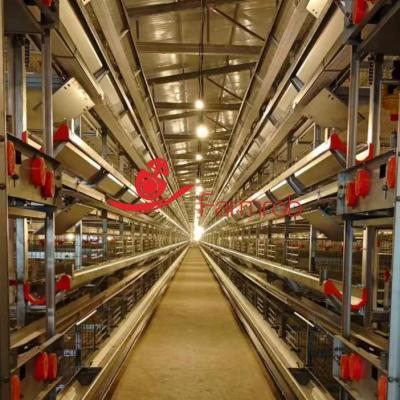 China Standardized Enclosed Layer Chicken Cage System Enhanced Biosecurity and Operational Efficiency for sale