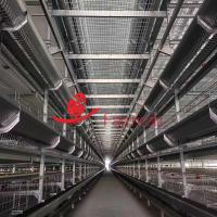 China Maximizing Productivity Layer Chicken Cage System for Vietnam Farms for sale
